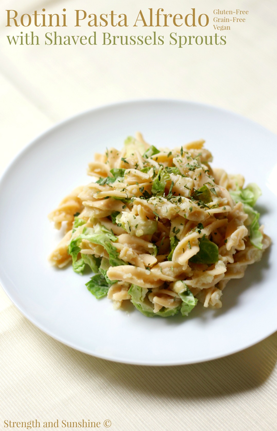 Over 50 of The Best Alfredo Dishes on the Internet