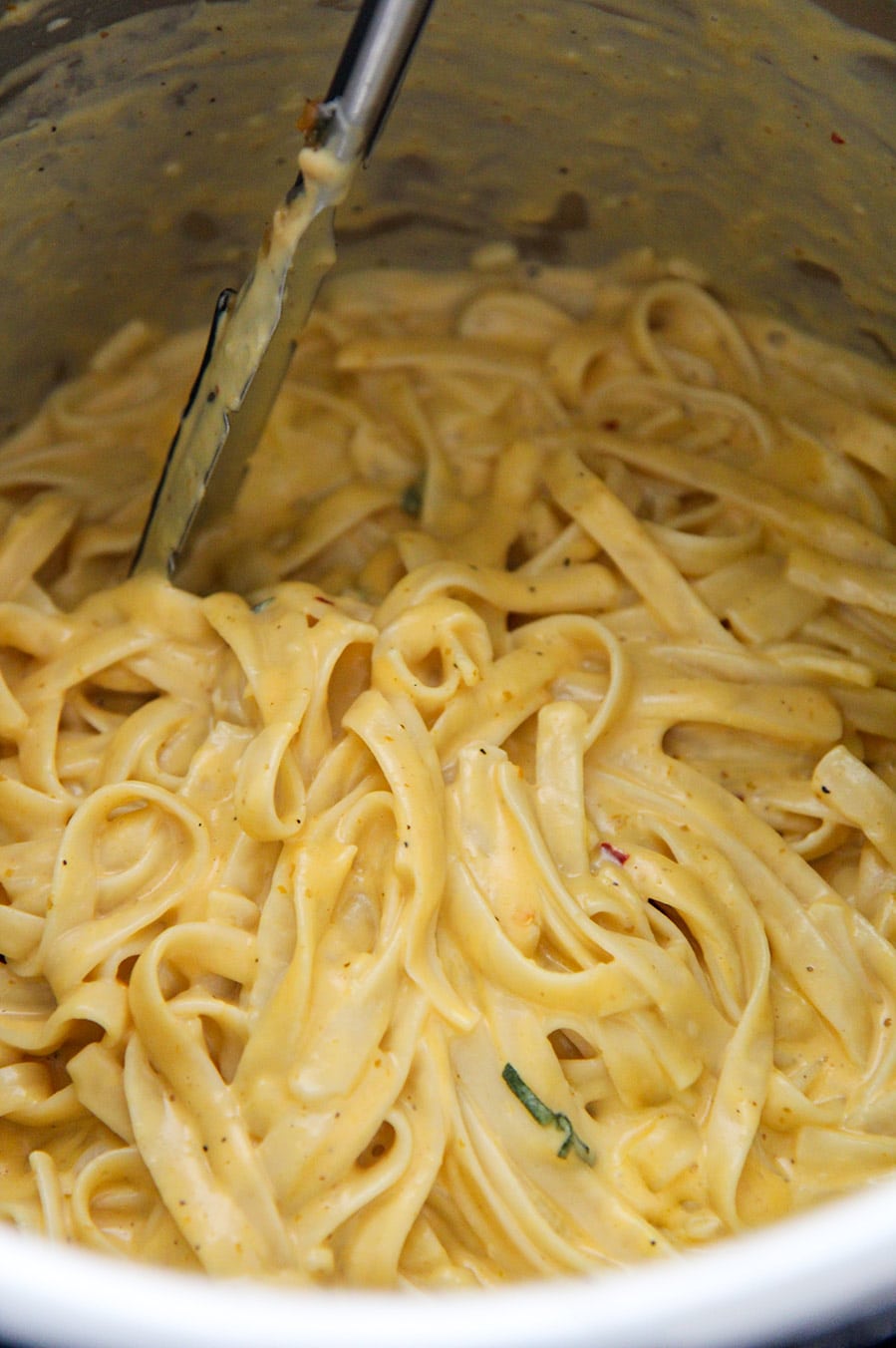 Over 50 of The Best Alfredo Dishes on the Internet