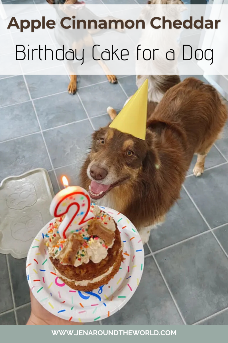 Homemade Apple Cinnamon and Cheddar Dog Cake