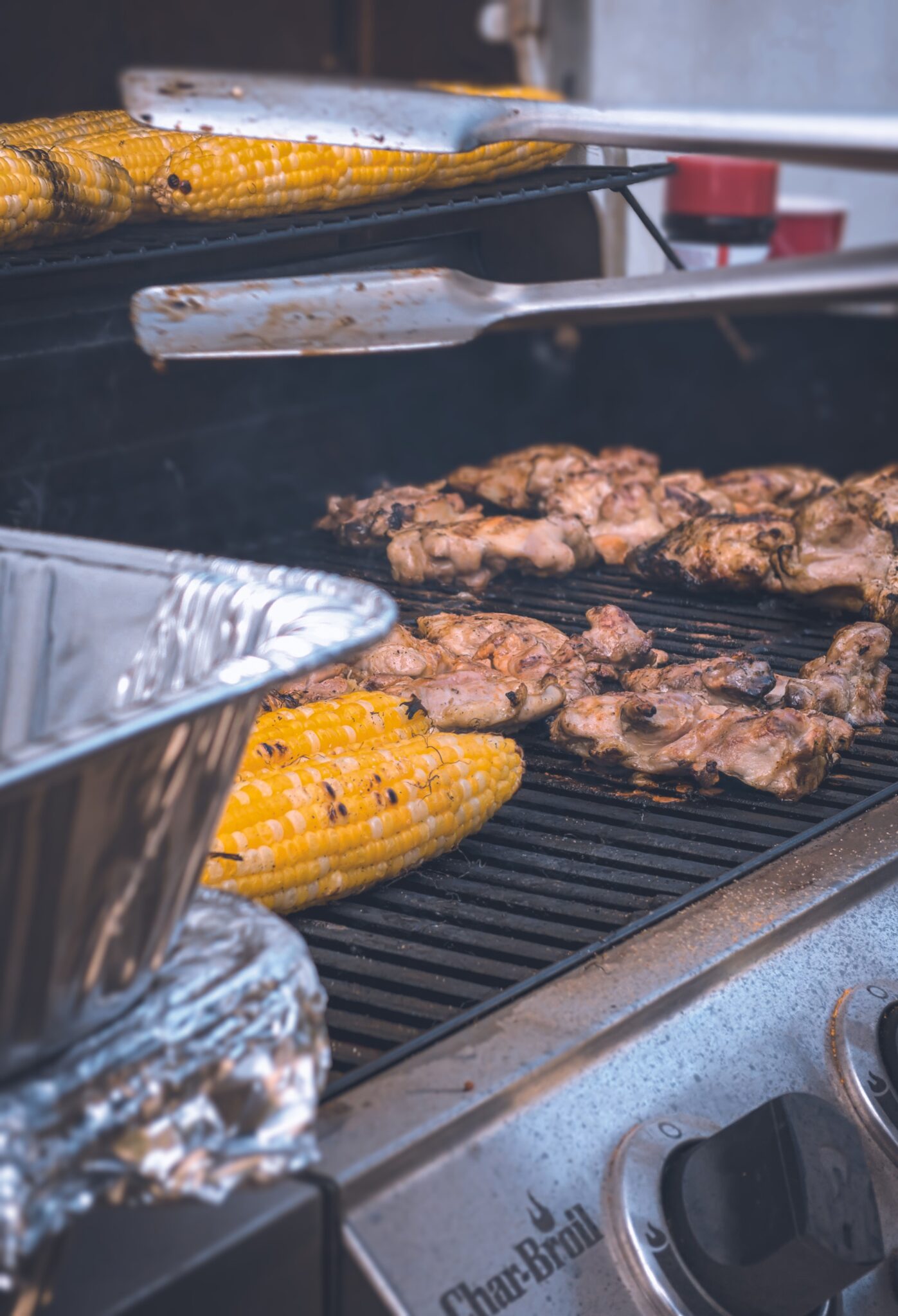 Grilling Techniques Ever Backdoor Griller Should Know